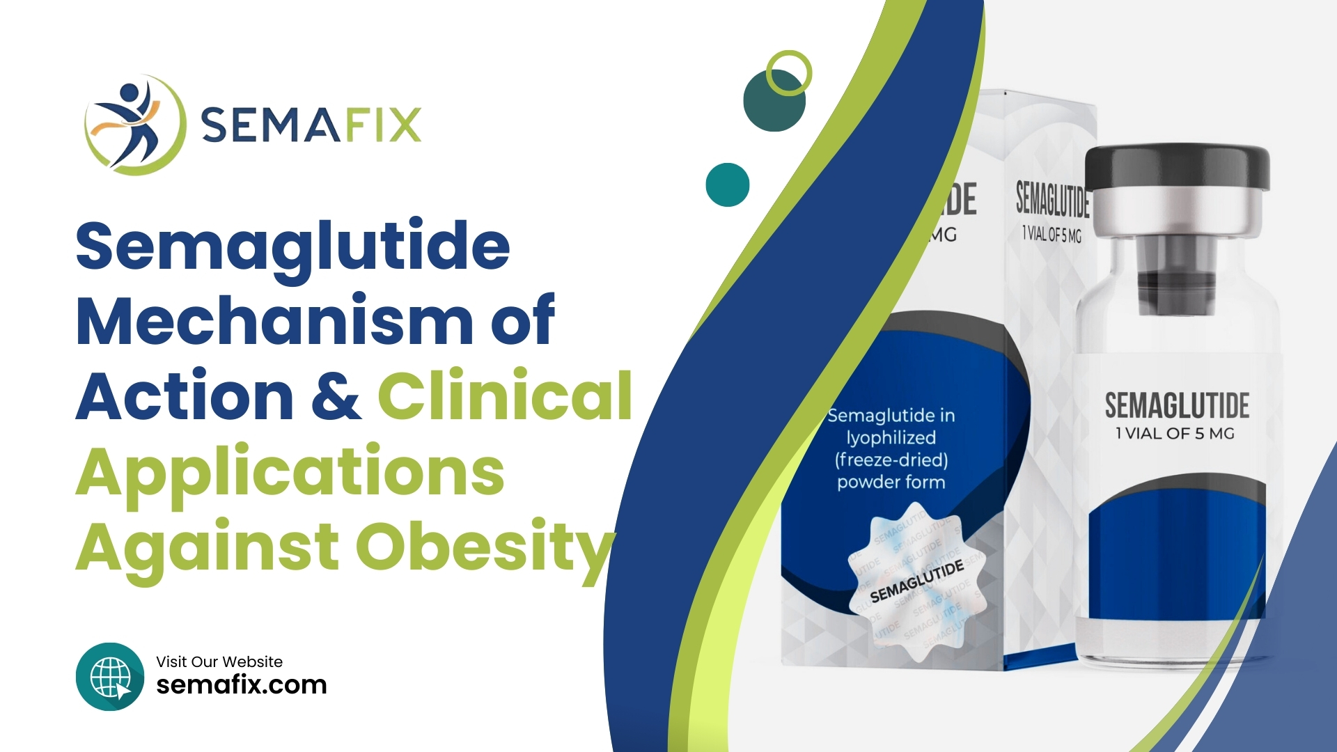 Semaglutide Mechanism of Action and Clinical Applications Against Obesity